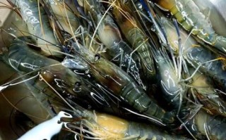 大头虾怎么做好吃_家常大头虾的做法大全