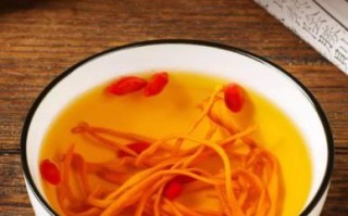金虫草怎么吃效果最好_金虫草最佳食用方法