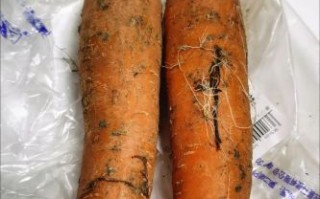 胡萝卜怎么保存不发芽_胡萝卜图片高清细节