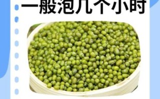 绿豆要泡多久才可以煮_绿豆泡多久才能煮烂