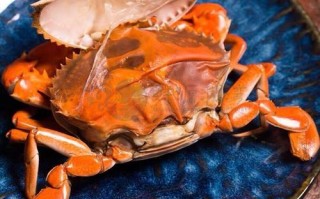 青蟹为什么要杀了再煮_活蟹直接下锅的危害