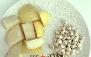 川贝炖雪梨川贝放多少_川贝用量一次多少克