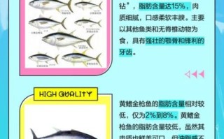 金枪鱼种类有哪些_蓝鳍金枪鱼和黄鳍金枪鱼区别