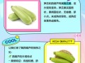 笋瓜和西葫芦的区别_如何一眼分辨