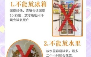 青蟹怎么保存_活青蟹能放冰箱吗