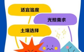 秋葵怎么种植_秋葵种植视频教程