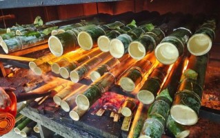 竹筒饭用什么竹子最好_哪种竹子最香