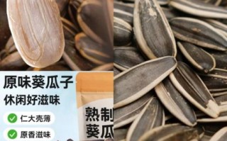 葵瓜子的营养价值_葵瓜子一天吃多少合适