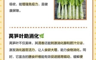 莴苣叶怎么吃_莴苣叶的功效与作用