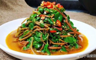 野菜的做法大全_野菜怎么做好吃