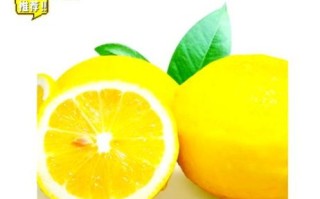 新鲜黄柠檬怎么吃_黄柠檬的吃法大全