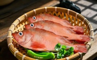 海斑鱼的功效与作用_海斑鱼适合什么人吃