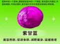 紫甘蓝能生吃吗_生吃紫甘蓝安全吗