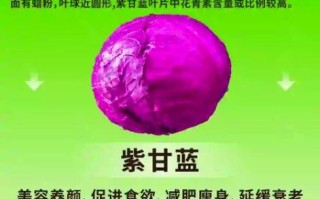 紫甘蓝能生吃吗_生吃紫甘蓝安全吗