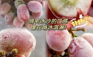 提子怎么保存时间长_提子可以放冰箱吗