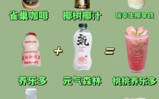 自制饮料怎么写_自制饮料作文素材