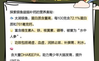 四大淡水名鱼有哪些_如何挑选正宗太湖银鱼