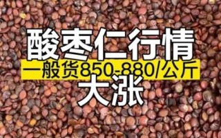 酸枣仁的价格多少钱一斤_酸枣仁价格影响因素