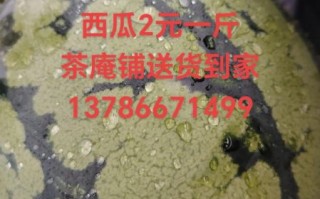 籽瓜是什么_籽瓜和西瓜的区别