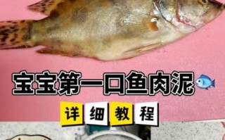 野生桂鱼图片_如何分辨真假