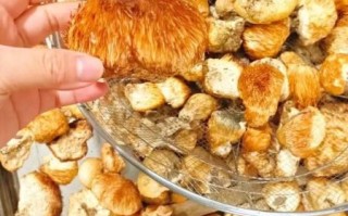 猴头菇怎么做好吃_猴头菇的家常做法步骤