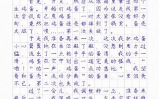 煎鸡蛋优秀作文怎么写_300字作文如何得高分