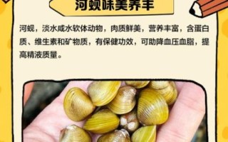 河蚬怎么读_河蚬的读音和营养价值