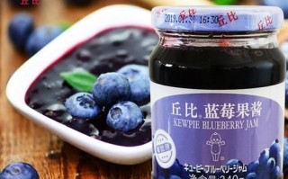蓝莓果酱哪个牌子好吃_蓝莓果酱推荐