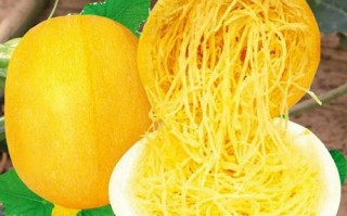 金丝搅瓜怎么做_金丝搅瓜的做法窍门