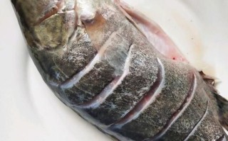 清蒸鲑鱼怎么蒸不腥_清蒸鲑鱼蒸几分钟最好