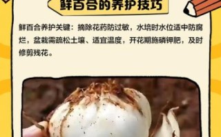 鲜百合怎么炒好吃_鲜百合的家常做法大全