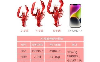 麻辣小龙虾多少钱一斤_哪里能买到正宗口味