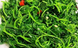 苜蓿花怎么吃_苜蓿花食用禁忌