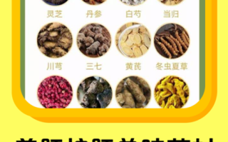养肝护肝的中药有哪些_如何正确服用不伤胃