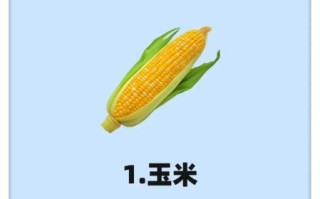 食疗除湿气最好的方法_湿气重吃什么食物好