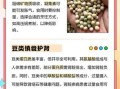 豆类吃多了的副作用_如何避免胀气