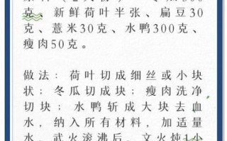 夏天鸭汤怎么煲_鸭汤的做法大全夏天