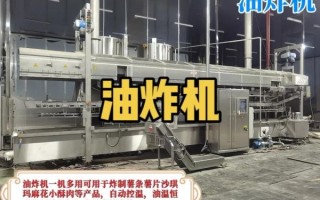 油炸机设备多少钱一台_油炸机设备怎么选