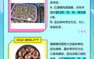 香螺和猫眼螺的区别_哪个更好吃