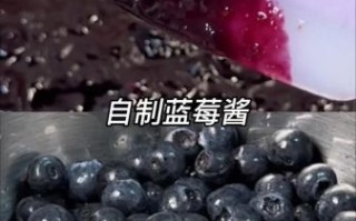 蓝莓酱怎么做_蓝莓酱的家常做法窍门
