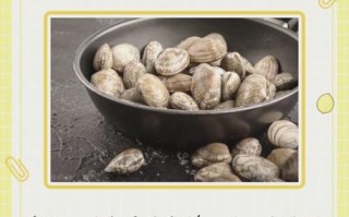 花甲怎么清洗_花甲图片怎么看新鲜