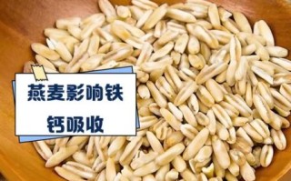 女性长期吃燕麦的坏处_燕麦吃多了会发胖吗