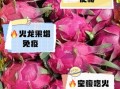 空腹吃火龙果好吗_空腹吃火龙果的坏处