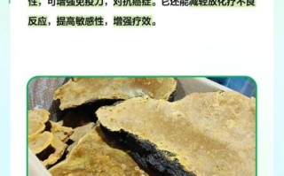 桑黄的功效与作用及禁忌_桑黄什么人不能吃