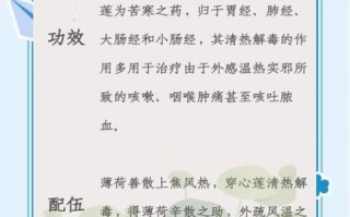 穿心莲片副作用有哪些_吃多久会伤肝肾