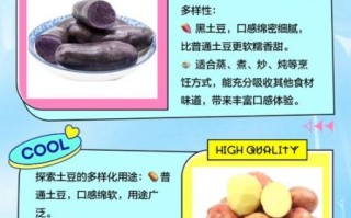 黑土豆和普通土豆有什么区别_黑土豆营养价值高吗