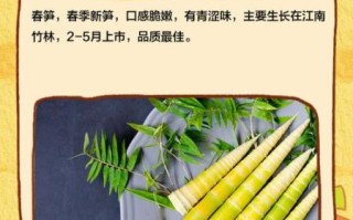 春笋的象征意义_春笋寓意什么