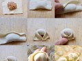 馄饨怎么包_馄饨包法有几种
