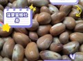 菠萝蜜的籽能吃吗_菠萝蜜的籽怎么做好吃