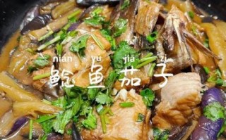 鲶鱼怎么做好吃_鲶鱼怎样做才好吃